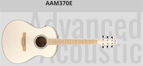 Электрогитара акустическая гитара Ibanez AAM370E купить на OZON по ...