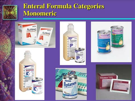 Ppt Introduction To Enteral Nutrition Powerpoint Presentation Free
