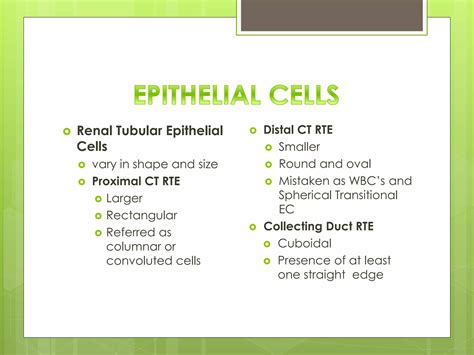 Urine Sediments Pptx