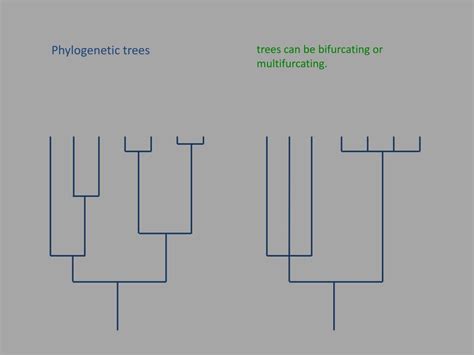 Ppt Computational Phylogenetics Powerpoint Presentation Free