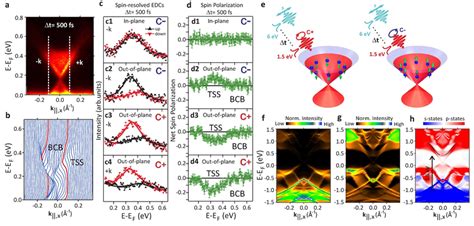 Ultrafast Spin Polarization Control Of Dirac Fermions Spin Resolved
