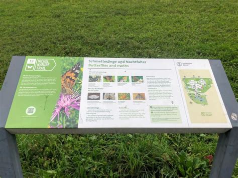 Science Alumni Uzh On Twitter 🪺🦋🐌🐾🌳🦉🍀🦗🌺🪲🐛🪹🦆 Irchel Trail 🐁🐈‍⬛ Biodiversityday 🐝 Uzh 🪶