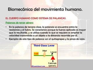Biomecánica Parte Ii Ppt