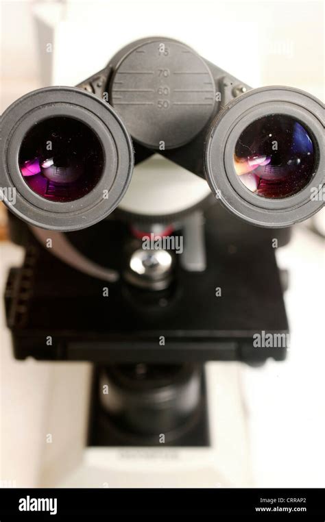 Lobjectif De Visualisation Dun Microscope Photo Stock Alamy