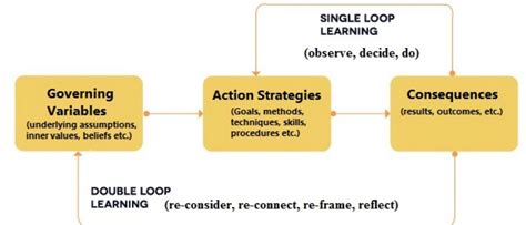 Single And Double Loop Learning Source Adapted From