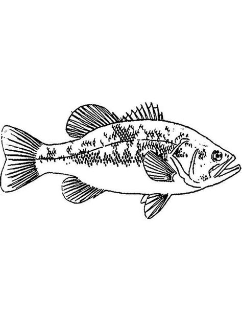 Perch Coloring Pages