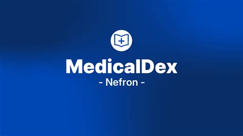 Nefron Unitatea Funcțională A Rinichilor Medicaldexro