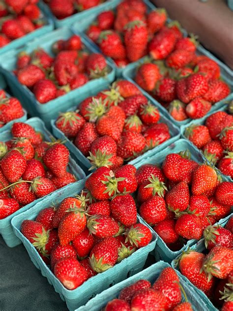 건강한 생활 건강한 식생활 과일 과일 디스플레이 과일 맛 과일 바구니 과일 시장 과즙이 많은 농산물 시장 농업 다이어트 다채로운 달콤한 달콤한 열매