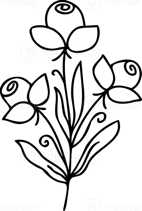 Line Art Hand Drawn Flower Decorative Flower Design 45828399 Png