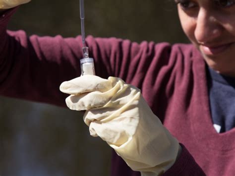 Invasive Species Centre Proposes Innovative Monitoring Tools At Cop15