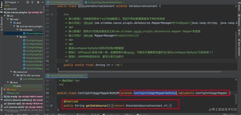 Nacos 达梦 Dameng 数据源 插件 开发（不用改源码，仅扩展插件包）nacos 22x Dameng 达 掘金