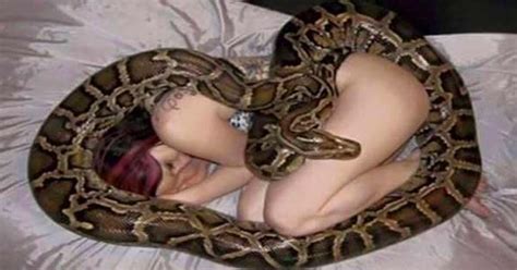 Woman Who Slept With Python Comes To Regret It
