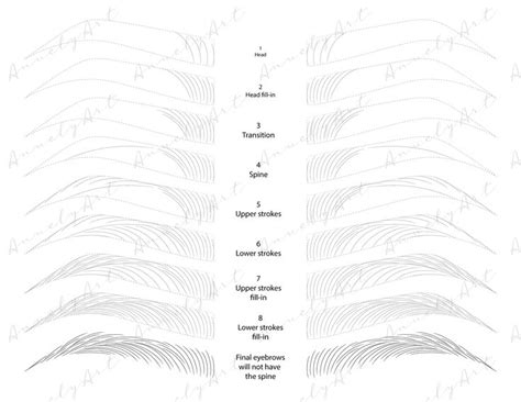 Microblading Patterns, Nanoblade Pattern, Basic, Advance, Curve, S ...