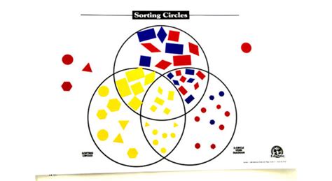 Sorting Circles Edustic