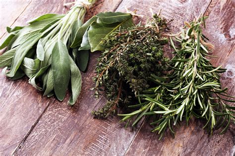 로즈마리와 바 질이 있는 소박한 배경에 자생 하는 향기로운 허브 0명에 대한 스톡 사진 및 기타 이미지 0명 꽃 식물 독일 Istock