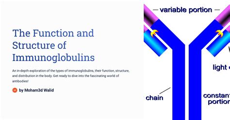 The Function And Structure Of Immunoglobulins