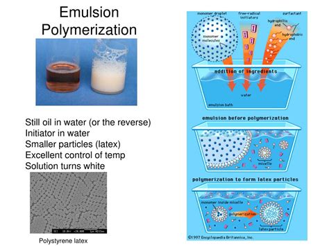 Ppt Chapter 2c Powerpoint Presentation Free Download Id3557058