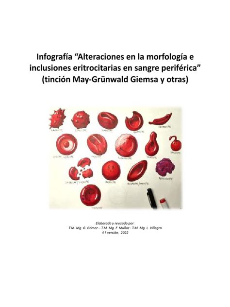 Infografía Alteraciones Morfológicas E Inclusiones Eritrocitarias V4