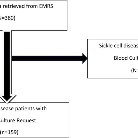 Flow Chart Demonstrating The Steps That Were Taken To Select 159 Scd