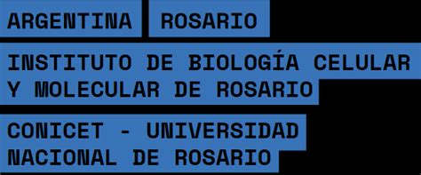 Ibr Conicet Unr Rosario Argentina En Cebem