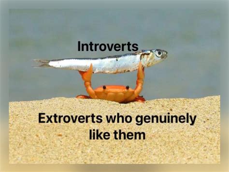 20 Memes That Show What Happens When An Extrovert Meets An Introvert Funny