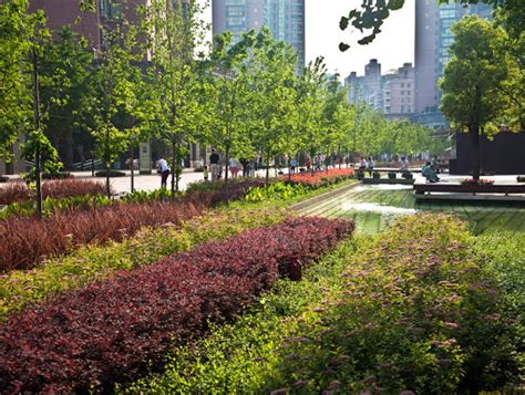 Linear Planting Google Search Landscape Elements Green Landscape Contemporary Landscape