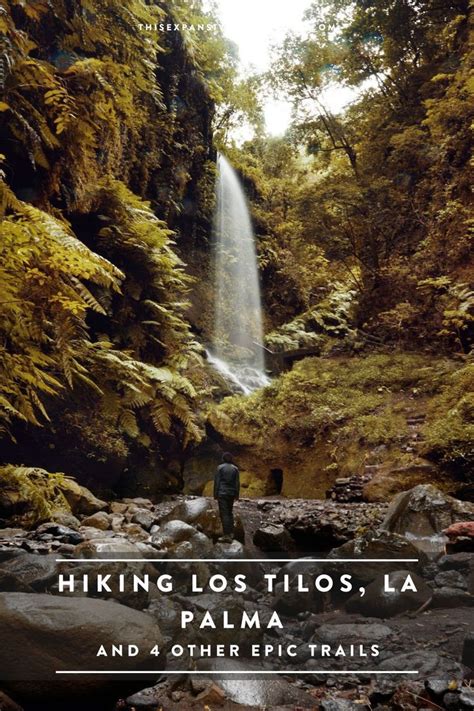 Best Hiking Trail In La Palma Los Tilos Waterfalls Walk La Palma