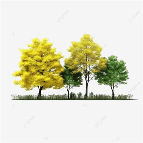 3ds rendering image of 3d rendering trees on grasses field 3d