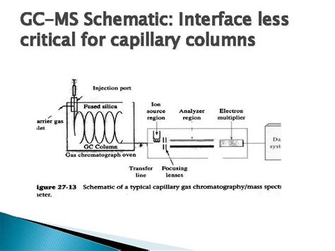 Schematic Diagram Of Gas Chromatography Instrument