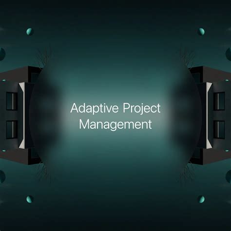 Adaptive Project Management → Term