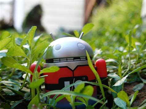 Sony Rx100 Vii Review