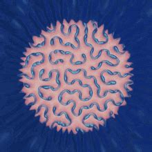 Sphere Reaction Diffusion GIF Sphere Reaction Diffusion Organic Discover Share GIFs