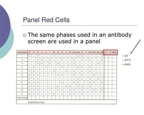 Ppt Antibody Identification Powerpoint Presentation Free Download