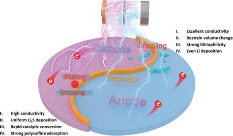 Schematic Illustrations Of The Dual Functions Of The LiS Fullcell Download Scientific Diagram