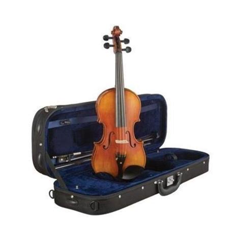 Carlo Robelli 397 Violin Case Musical Instruments Fuel Your Creativity