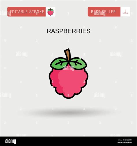 Raspberry Pi Logo Vector