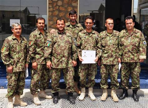 Free Images First Class Basic Intelligence