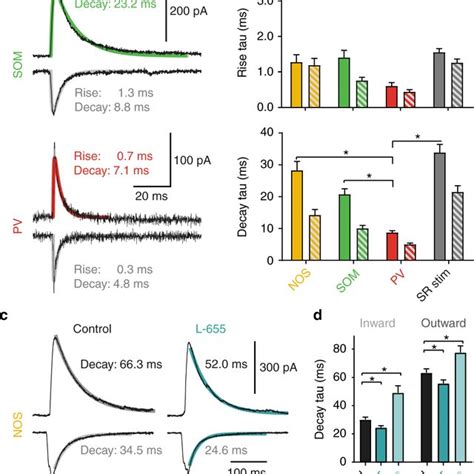Reduced Mepsc Amplitude In Pv Interneurons And Mipsc Frequency In Download Scientific Diagram