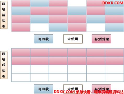 Jvm 实战 Gc 垃圾收集算法 弟弟快看 教程