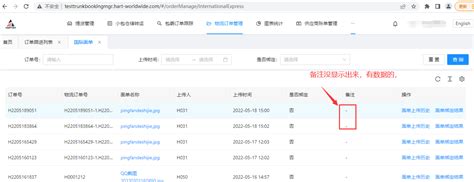 Bug 1563 【上传国际面单】备注没显示出来。 物流管理系统 禅道