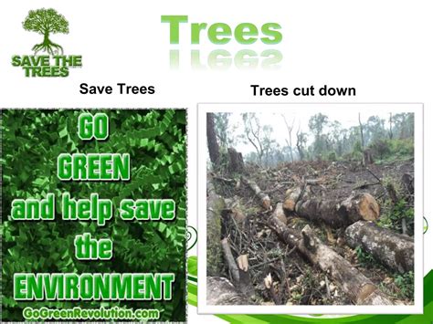Pp Tx On The Environment Ppt