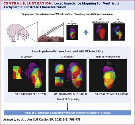 Biophysical Tissue Characterization Of Ventricular Tachycardia