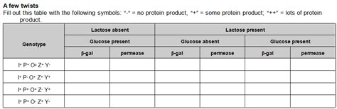 Dna Structure And Function Operons Worksheets Library