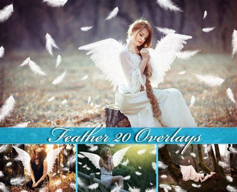 White Feather Overlays Falling Feathers Wings Overlay Etsy