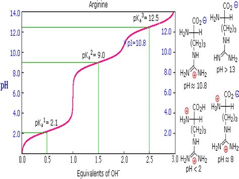 Titrationofaminoacidsppt