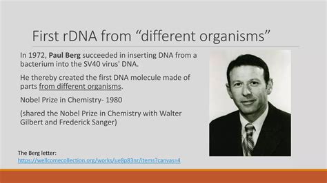 Biotechnology Principles And Processes Class Xii Chapter 11 Pptx Biological Sciences Science