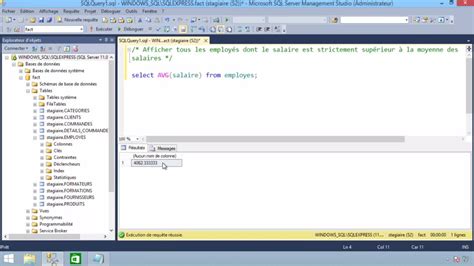 Meilleur Tuto Gratuit Le Langage Sql Le Guide Complet Les Sous Requêtes Monolignes