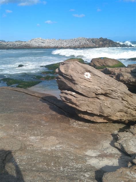 Shark Rock Nature Free Photo On Pixabay Pixabay