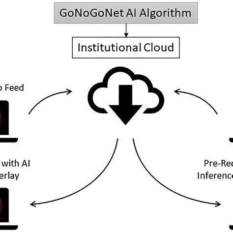 data workflow for ai deployment for live intraoperative synchronous