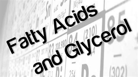 Fatty Acids And Glycerol YouTube